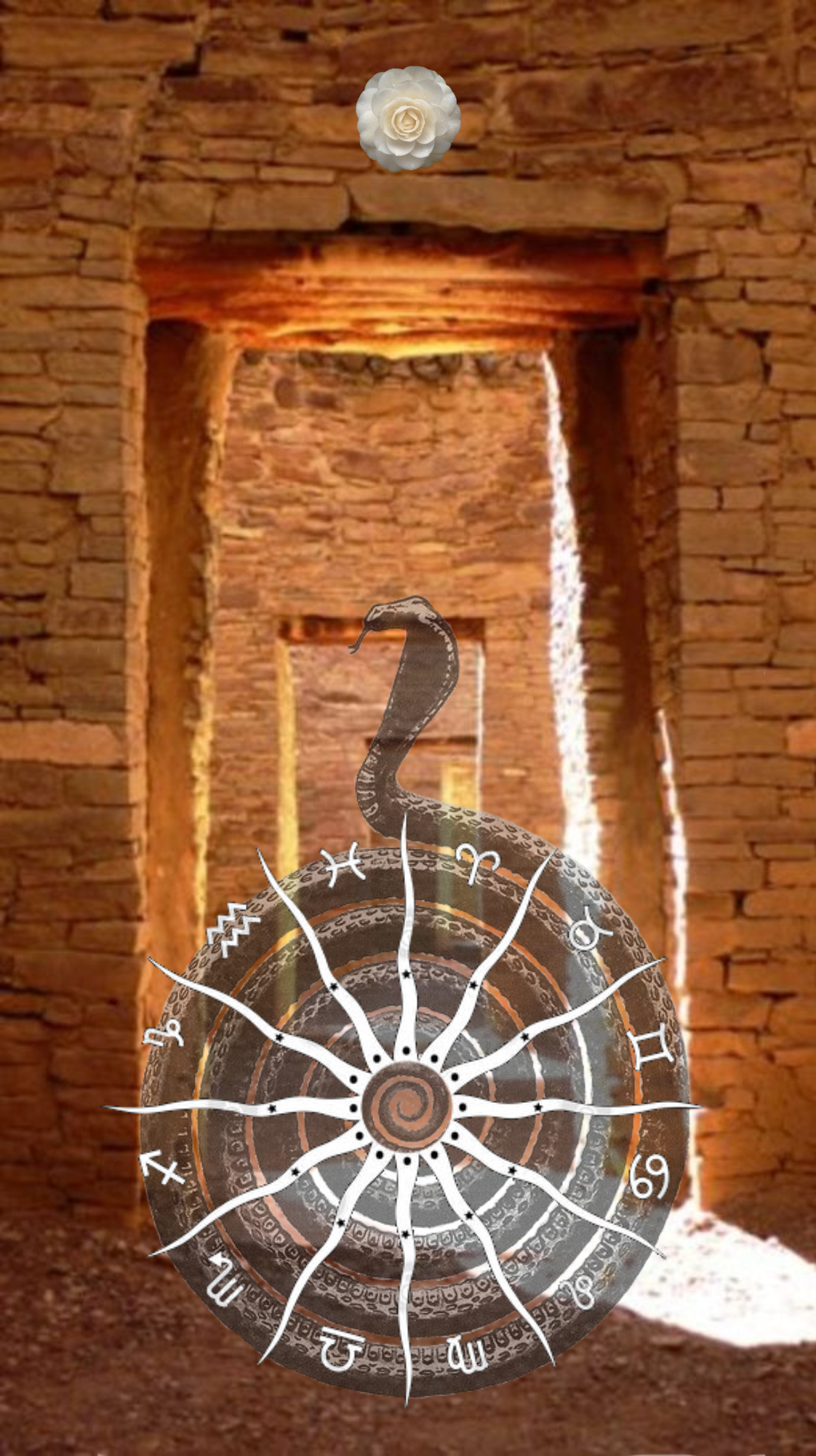 zodiac wheel | Nicole Nardone